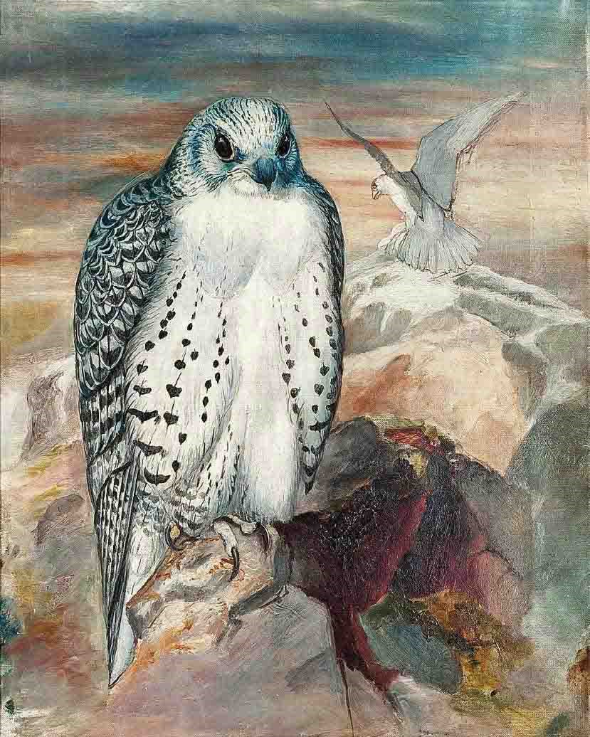 Josef Wolf (1820-1899)