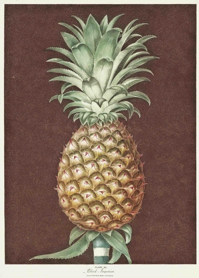 George Brookshaw (1751-1823)