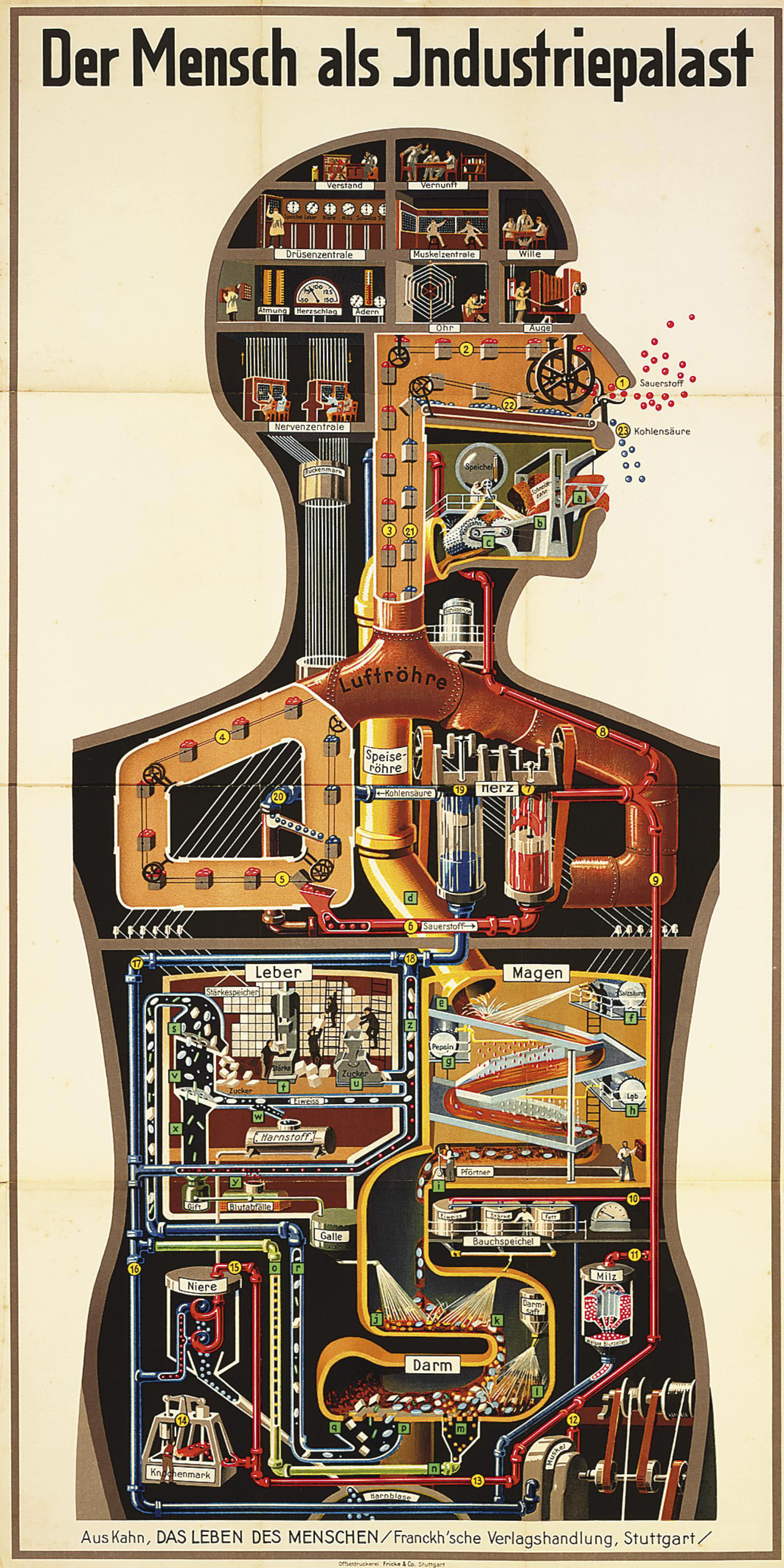 Fritz Kahn (1888-1968) , DER MENSCH ALS INDUSTRIEPALAST | Christie's