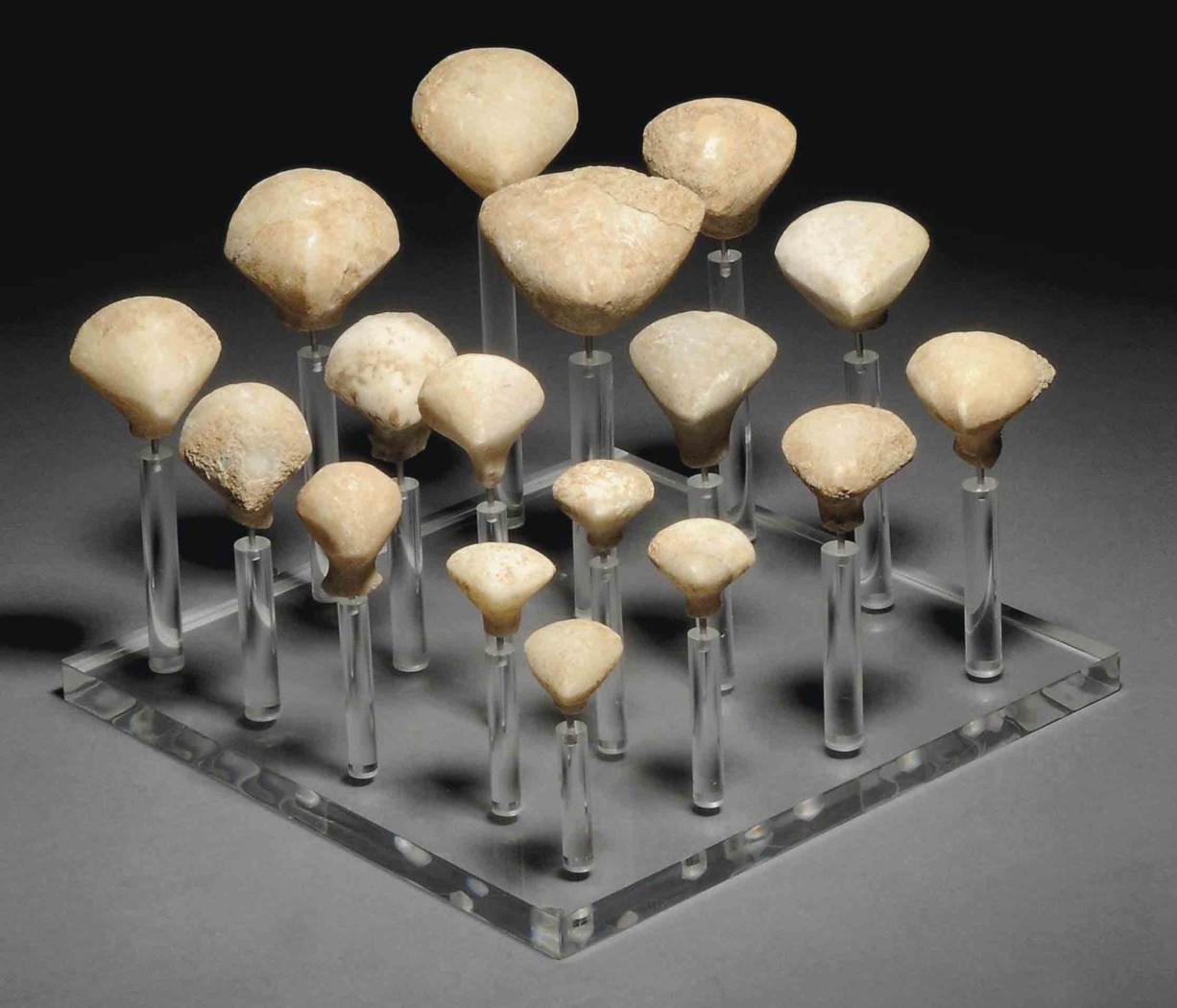 A GROUP OF ANATOLIAN MARBLE 'STARGAZER' HEADS , CHALCOLITHIC PERIOD ...