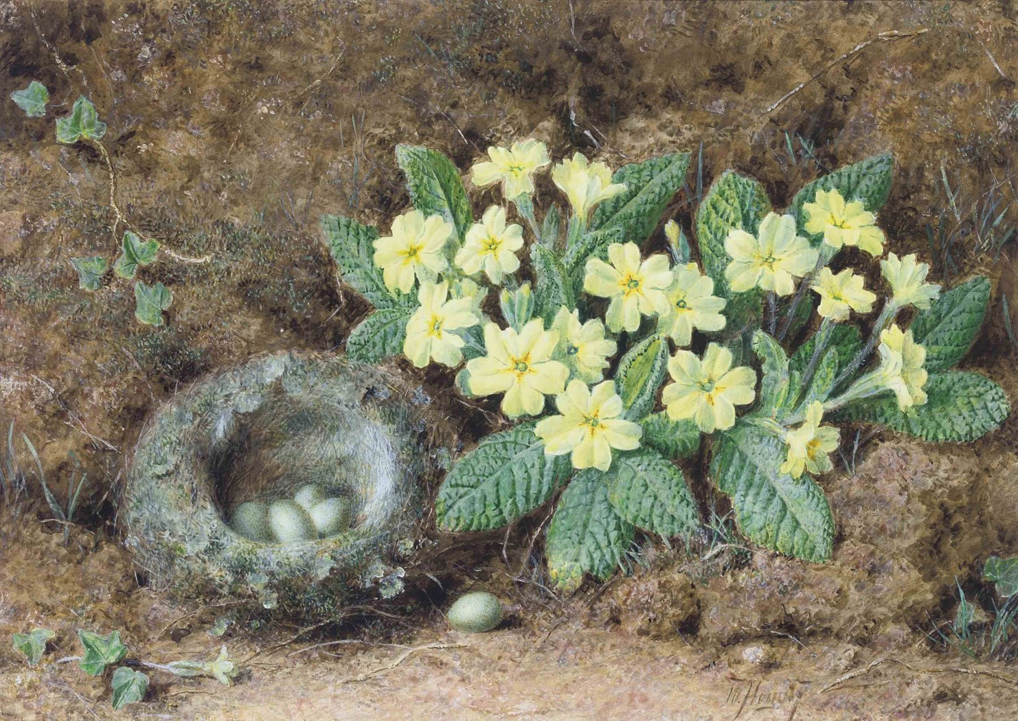 William B. Hough (1819-1897) , Still life of a bird's nest and ...