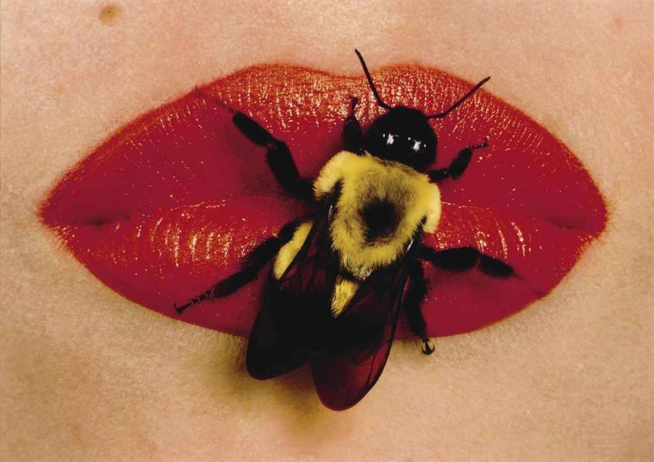IRVING PENN (1917-2009) , Bee on Lips, New York, September 22, 1995 ...