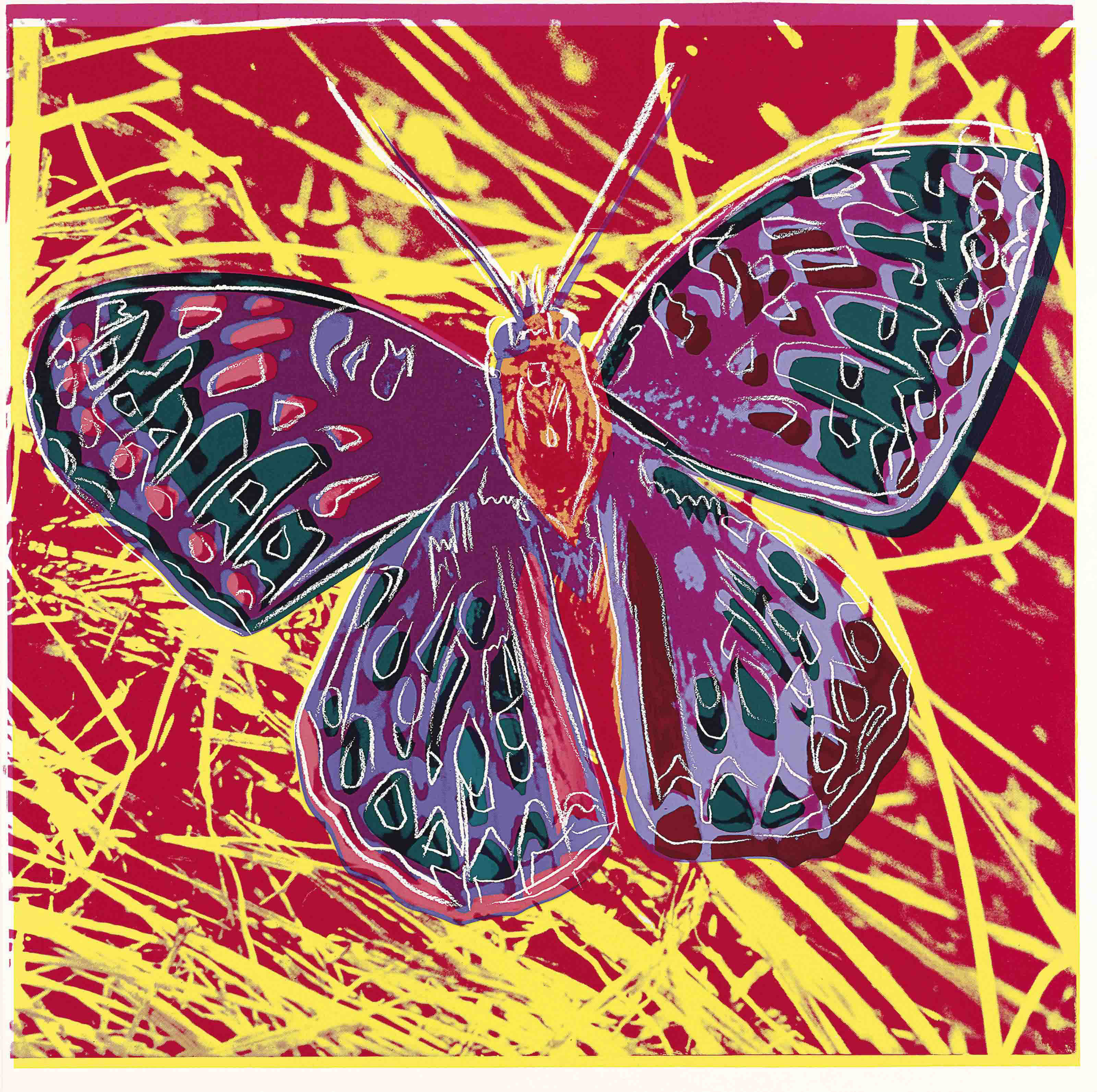 Andy Warhol Butterfly