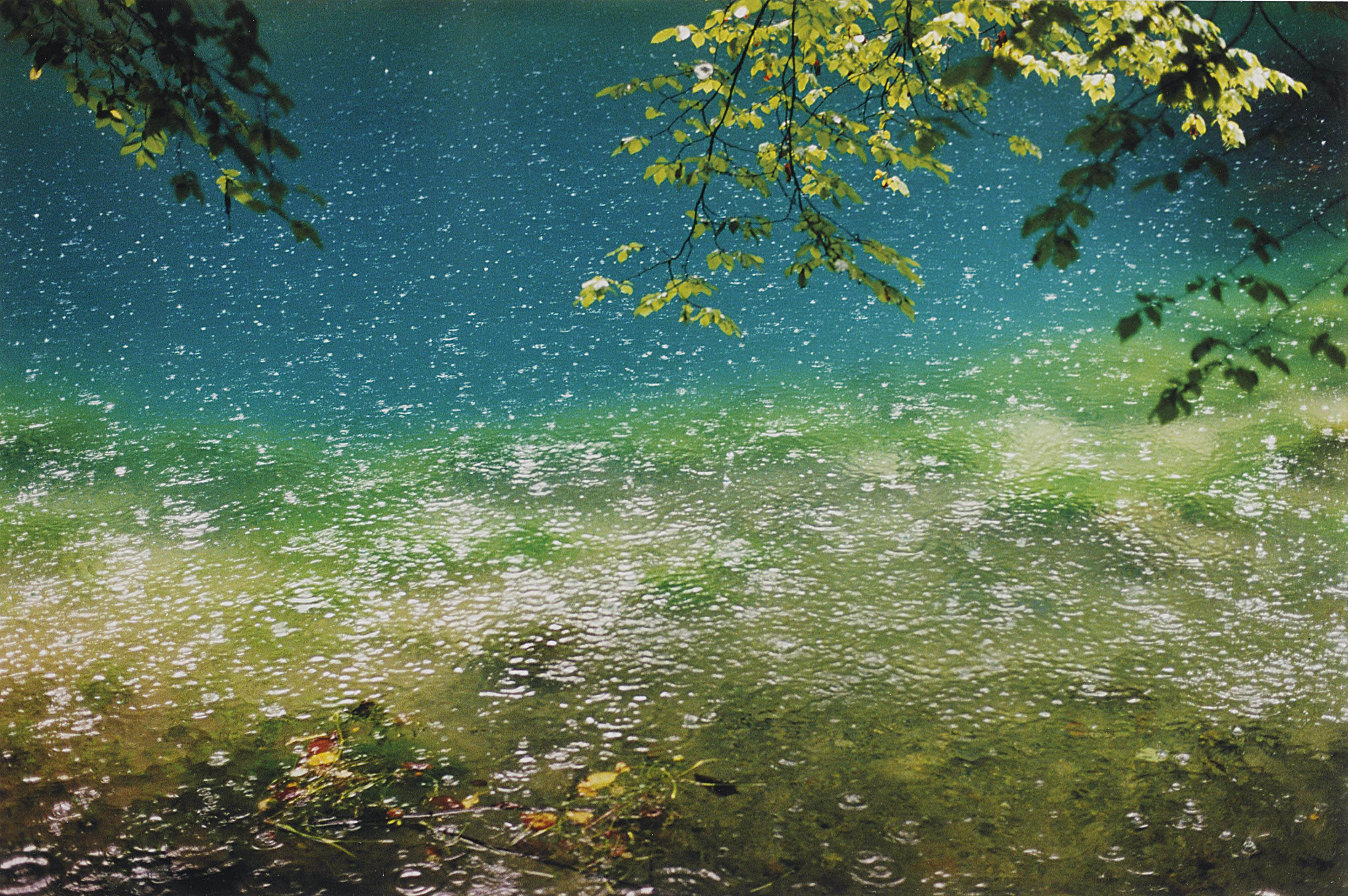 WOLFGANG TILLMANS (B. 1968) , Blautopf, 2001 | Christie's