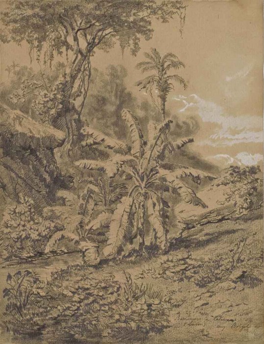 AUGUSTE BORGET (ISSOUDUN 1808-1877 BOURGES) , Bananier dans un paysage ...