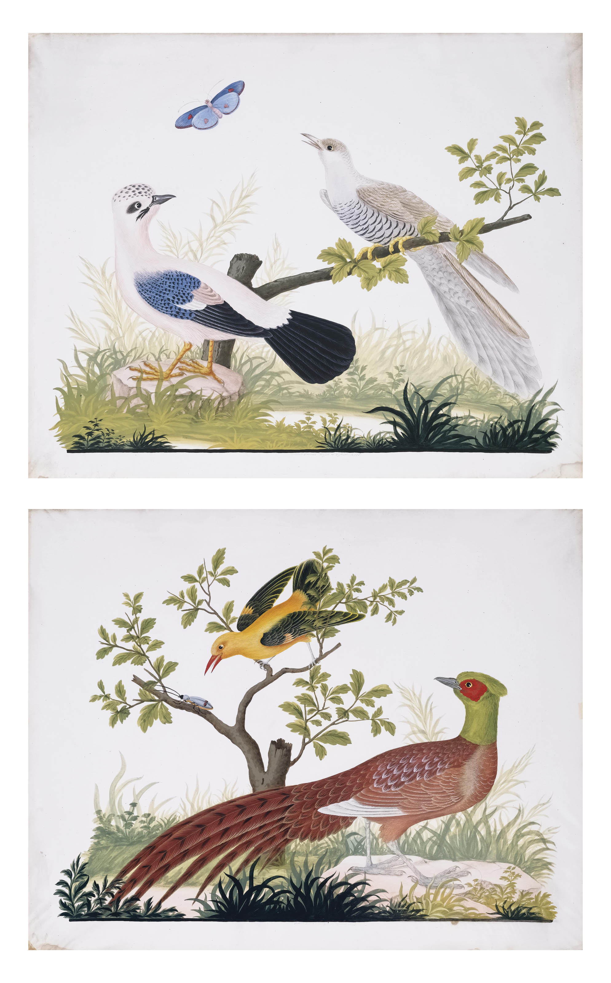 Vittorio Maria Raineri (1797-1869)