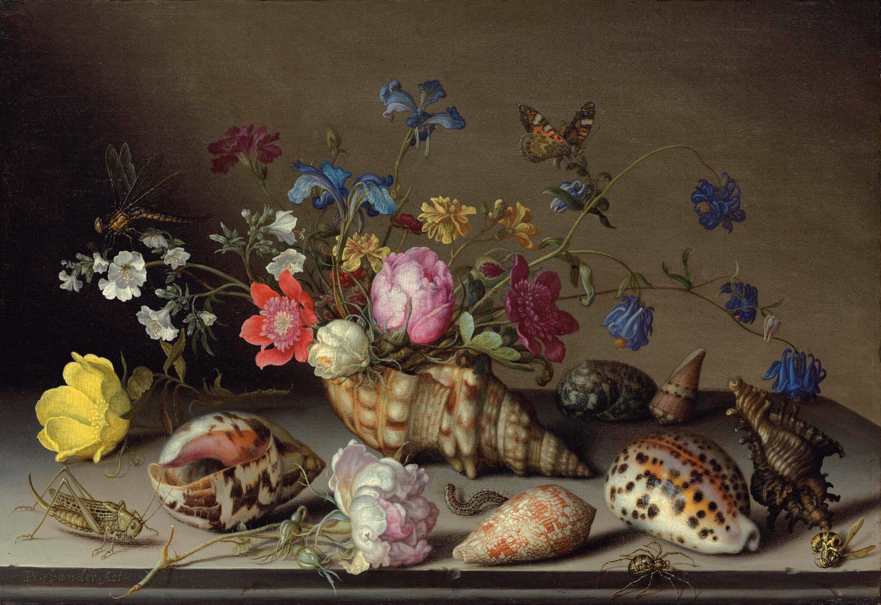 Balthasar van der Ast (Middelburg ?1593/4-1657 Delft) , Flowers, shells ...