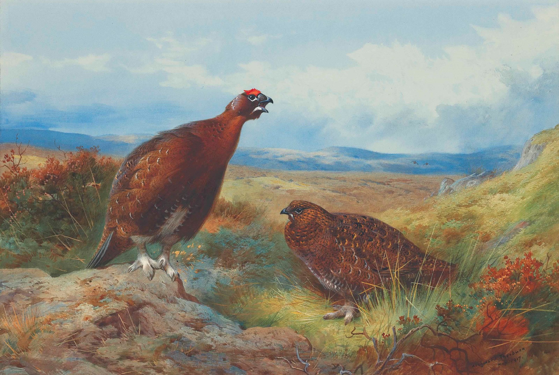 Archibald Thorburn (1860-1935)
