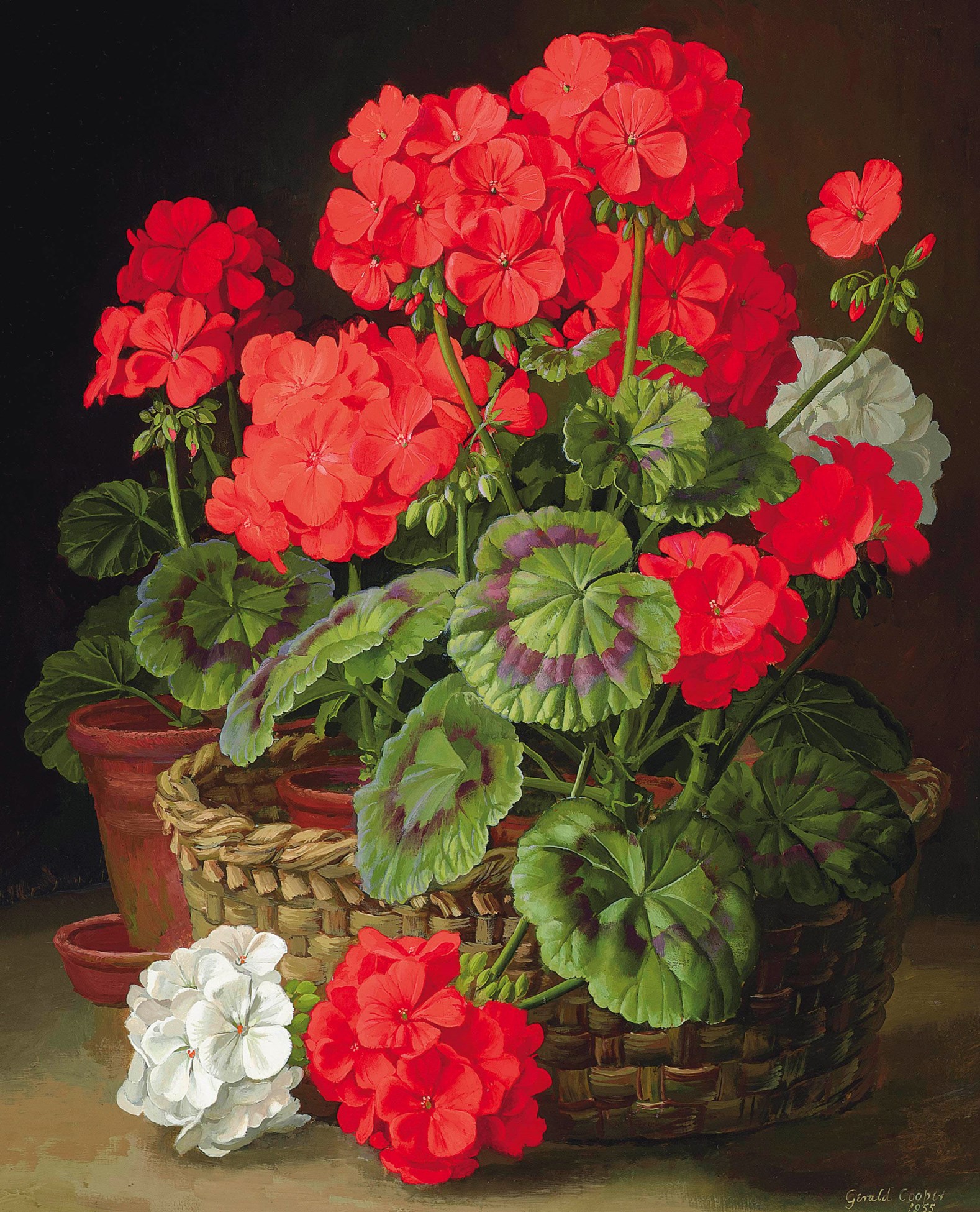 Gerald A. Cooper (1898-1975) , Geraniums | Christie's