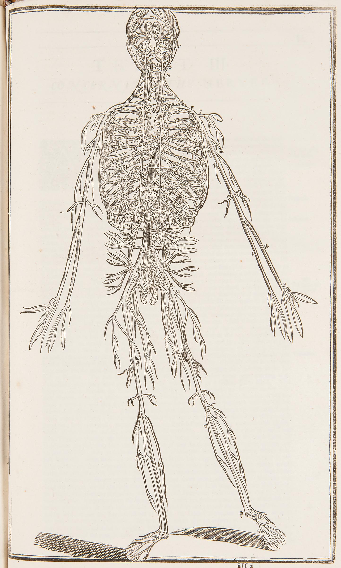 FABRICIUS, Hieronymus (1537-1619). Opera Chirurgica. Leiden: Boutesteyn ...