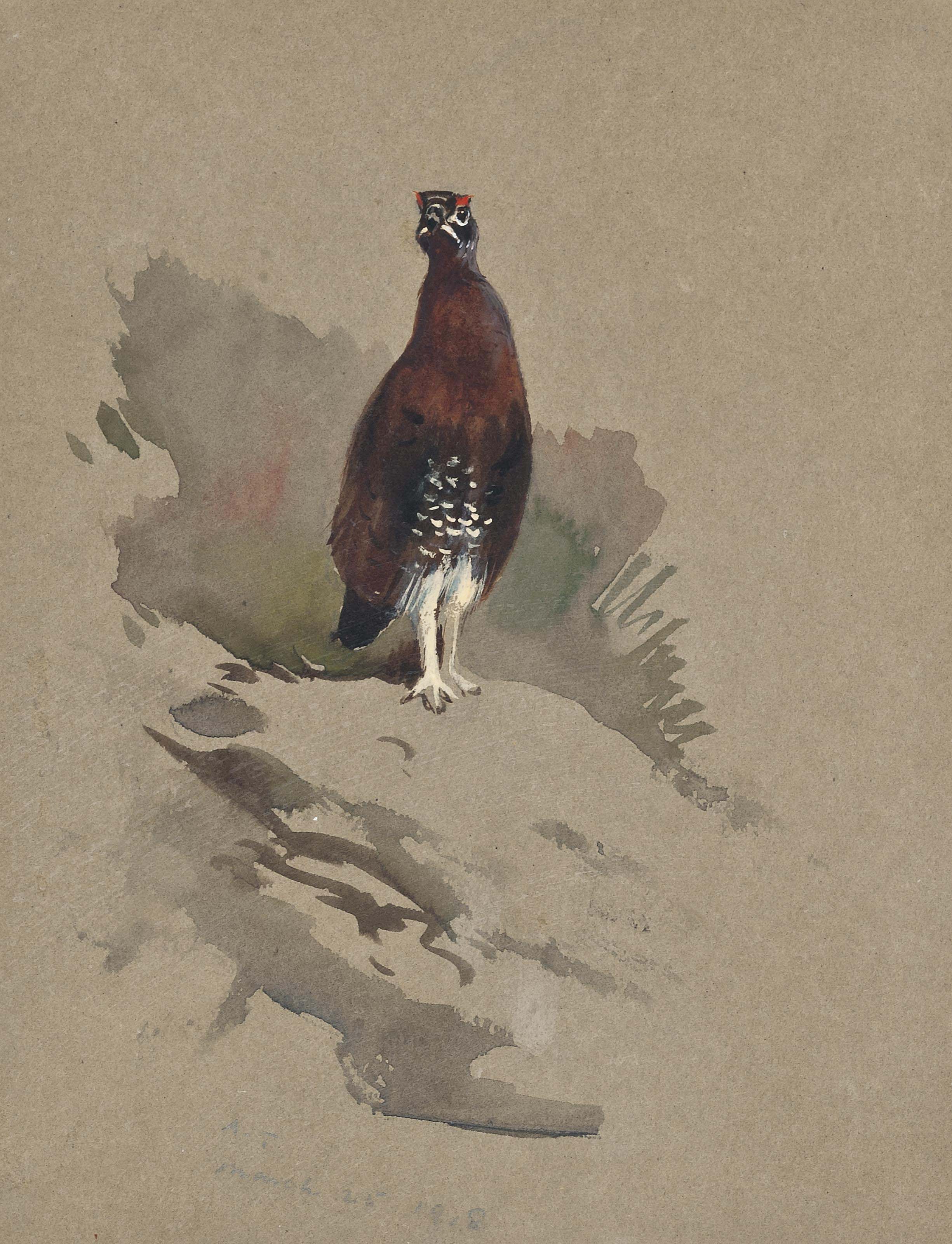 Archibald Thorburn (1860-1935)