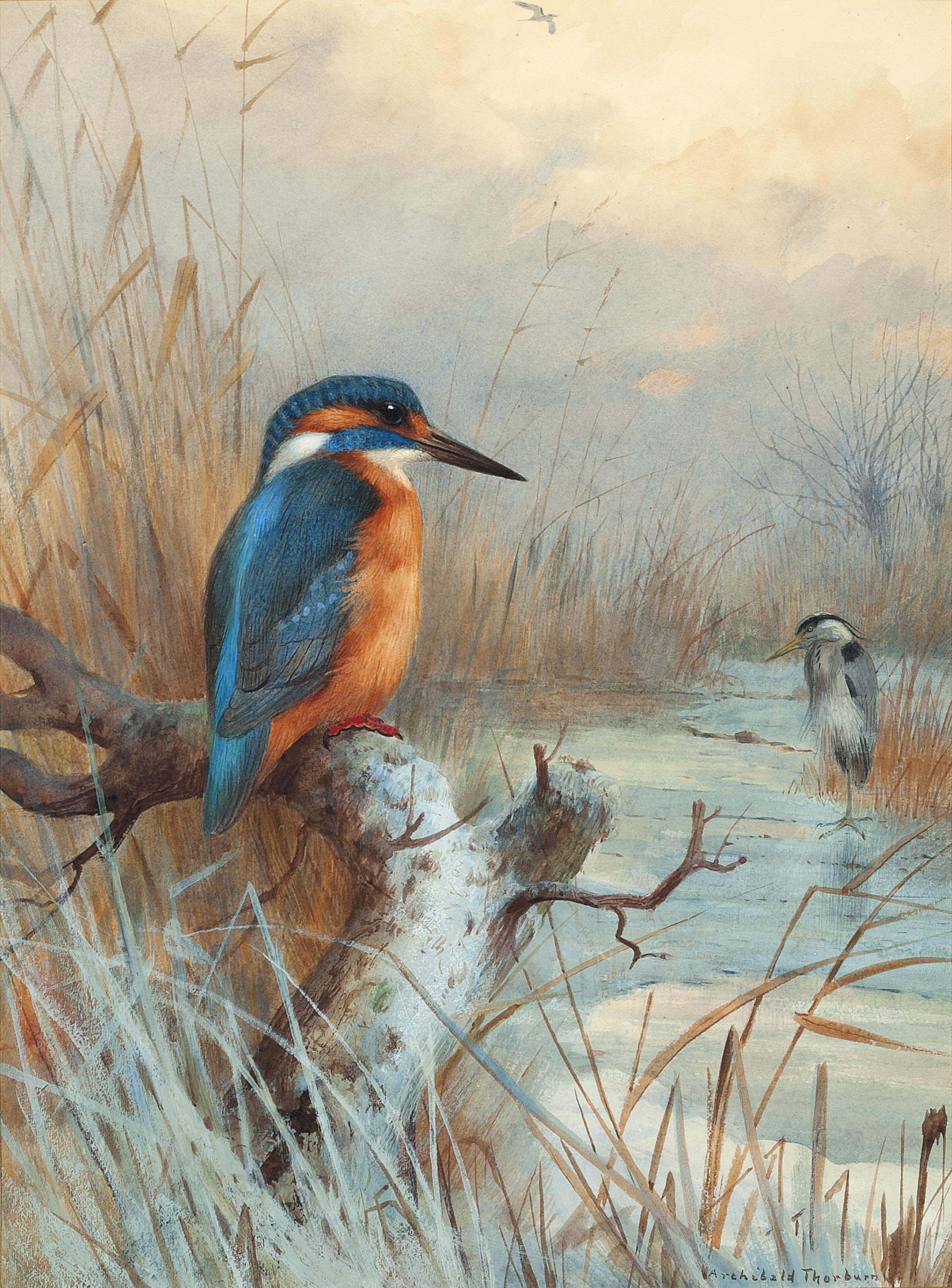 Archibald Thorburn (1860-1935) , On the river, winter | Christie's