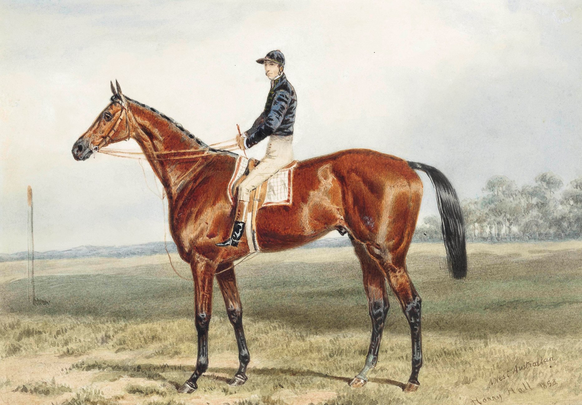 Harry Hall (1812-1888) , Mr John Bowes' bay colt West Australian winner ...