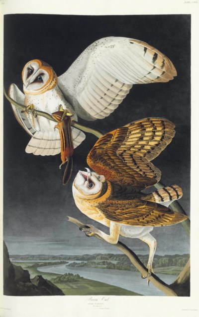 AUDUBON, John James (1785-1851). The Birds of America; from Original ...