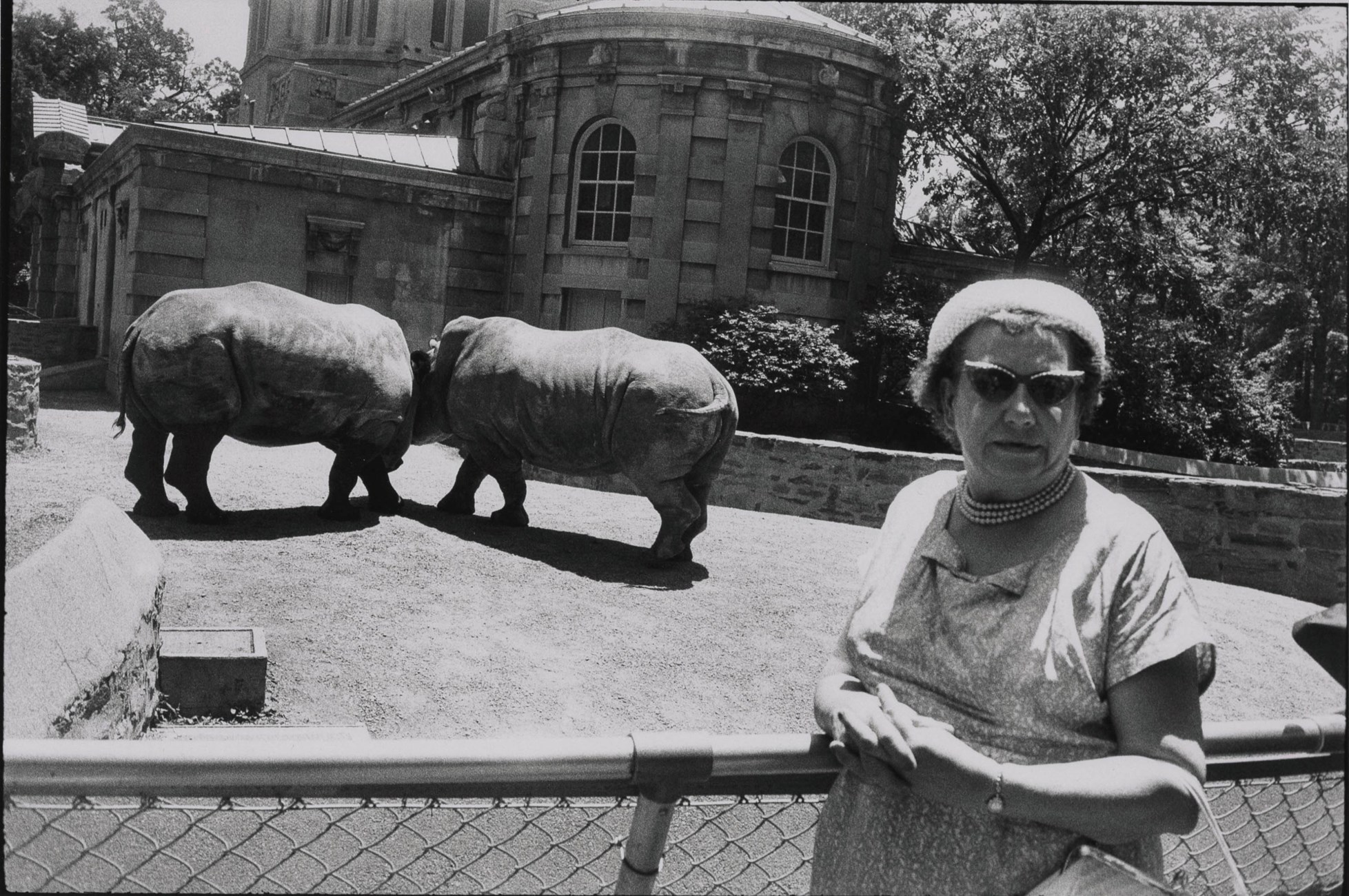GARRY WINOGRAND (1928-1984) , Central Park Zoo, New York, 1967 | Christie's