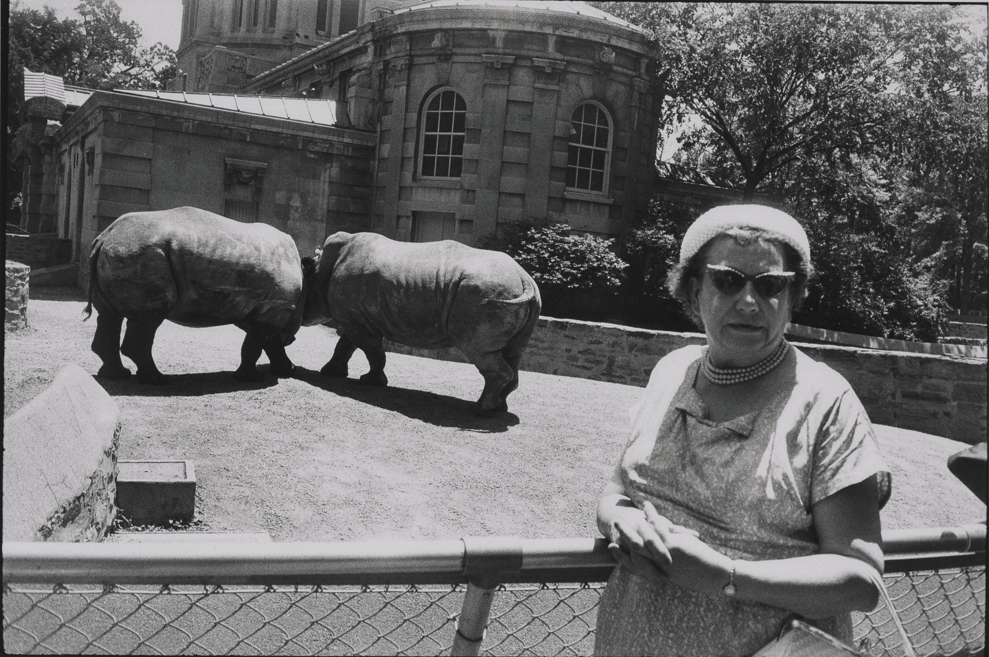 Garry Winogrand The Animals