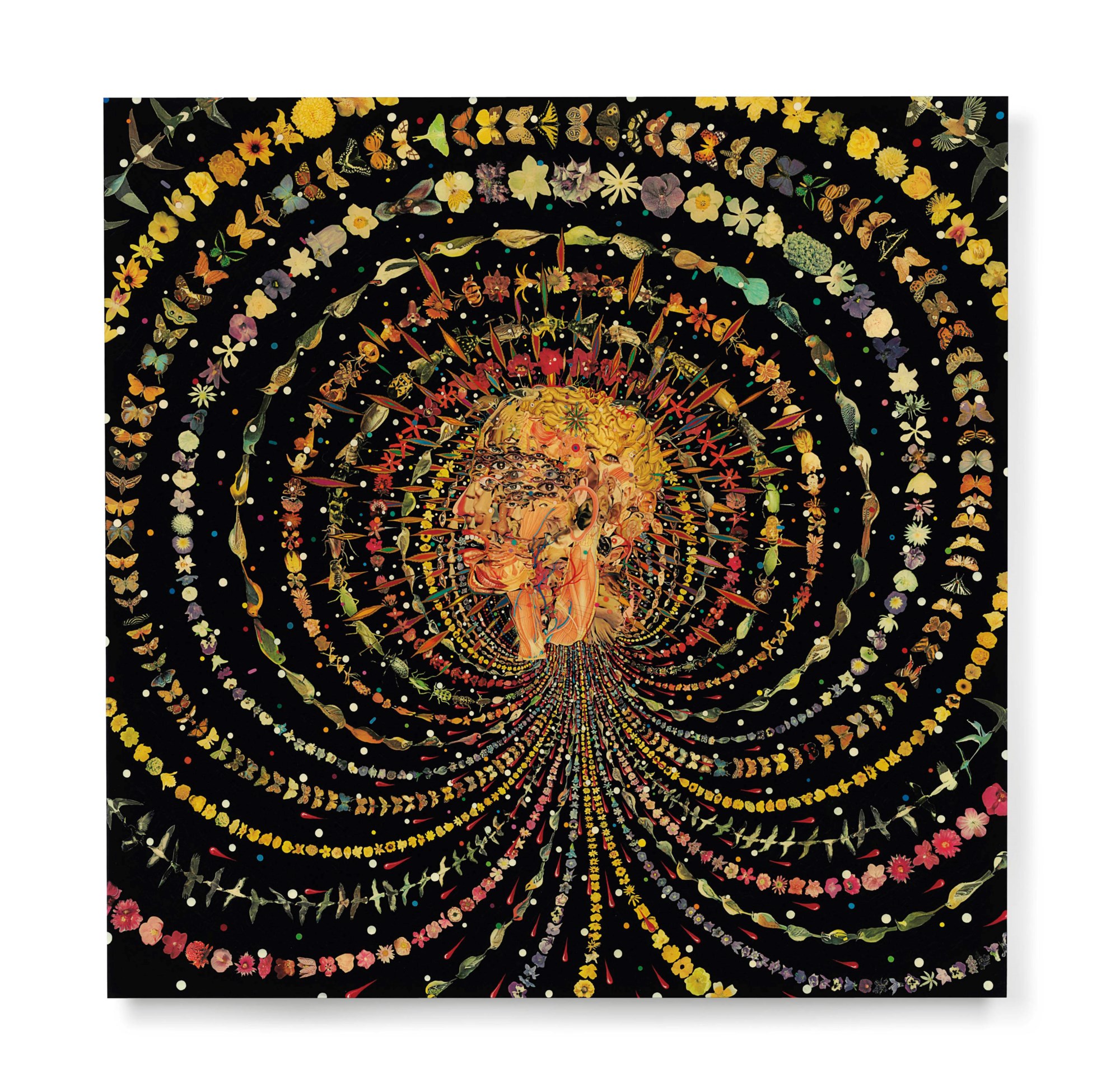 Fred Tomaselli (b. 1956) , Breathing Head | Christie's
