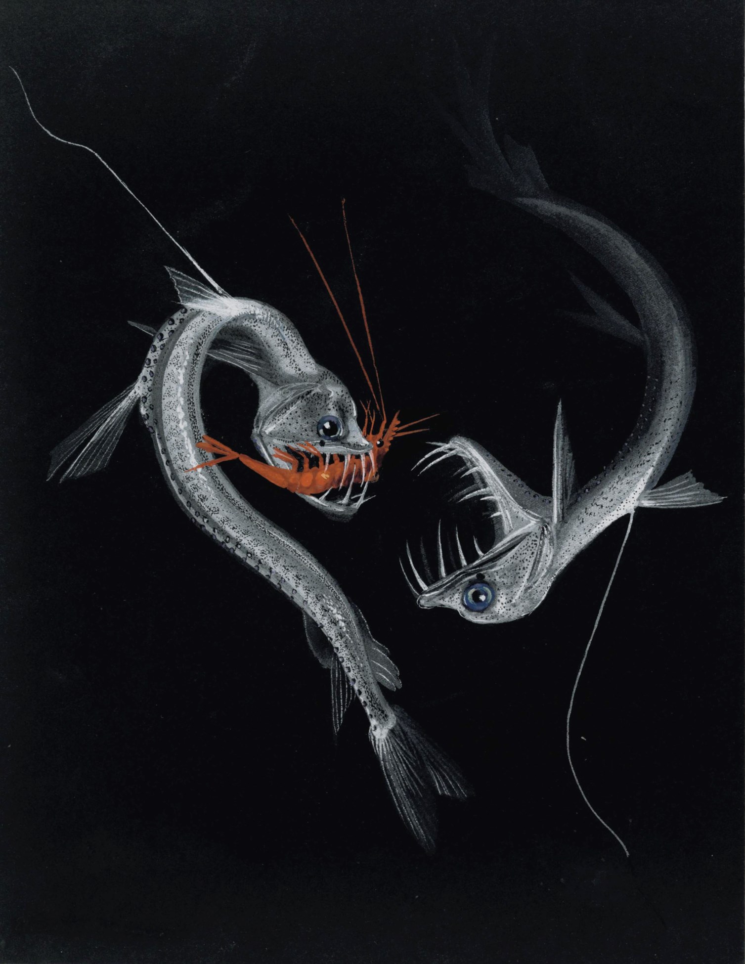 Else Bostelmann , Saber-Toothed Viper Fish | Christie's