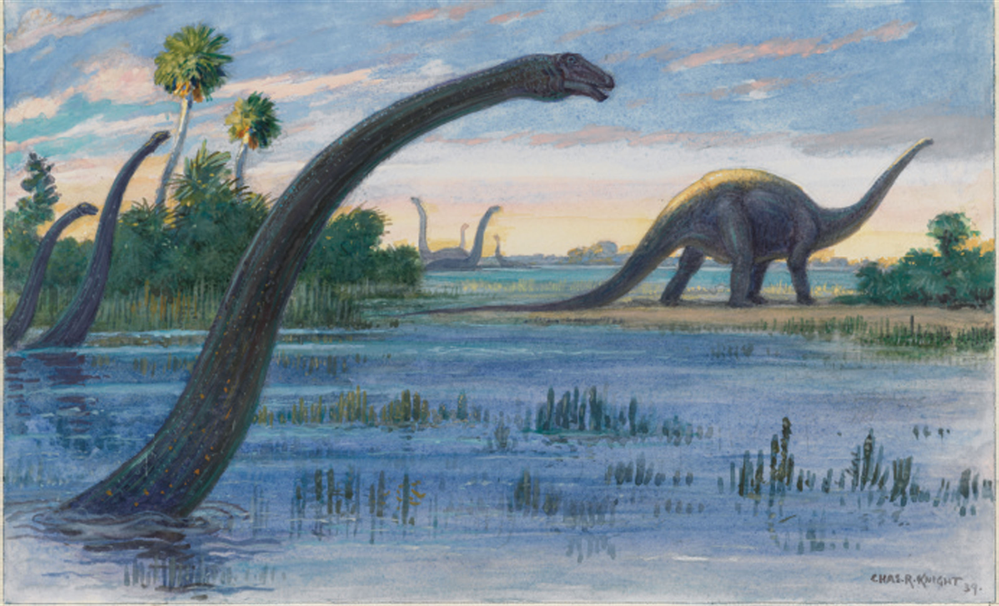 Charles Robert Knight (1874-1953) , Diplodocus | Christie's