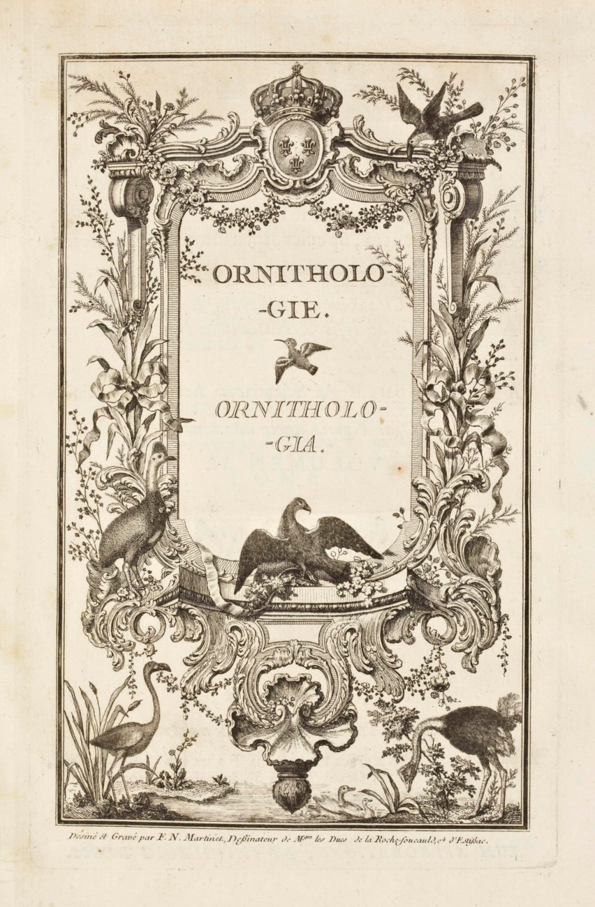 BRISSON, Mathurin Jacques (1723-1806). Ornithologie ou Méthode ...