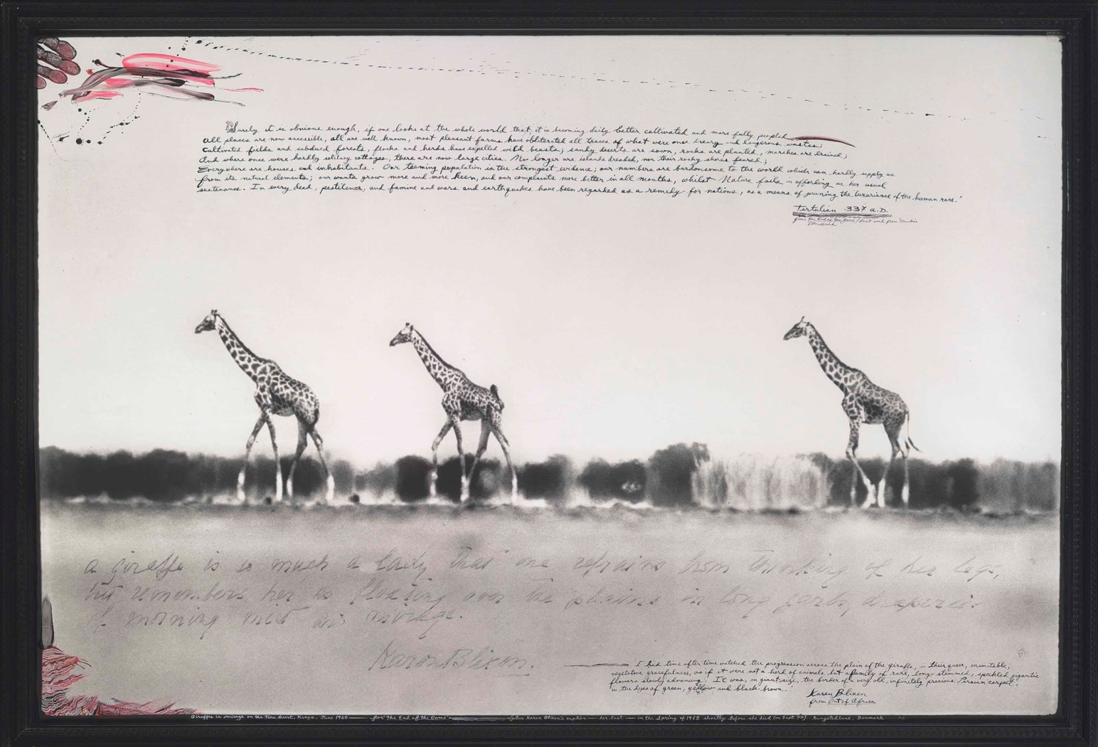 PETER BEARD (B. 1938) , Giraffes in mirage on the Taru Desert, Kenya ...