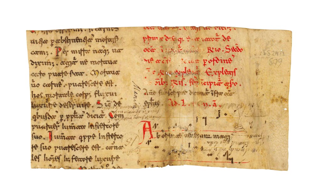 A FRAGMENT OF A NOTED BREVIARY IN BENEVENTAN MINUSCULE, in Latin ...