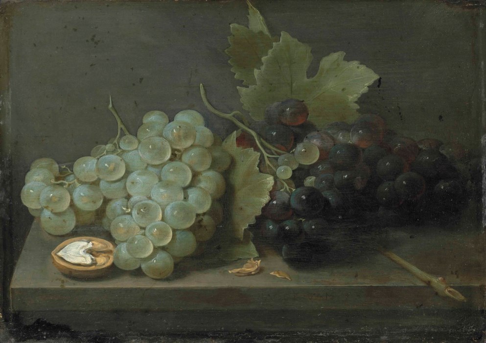 Jacob van Es (?Antwerp c. 1596-1666 Antwerp), White and red grapes with ...