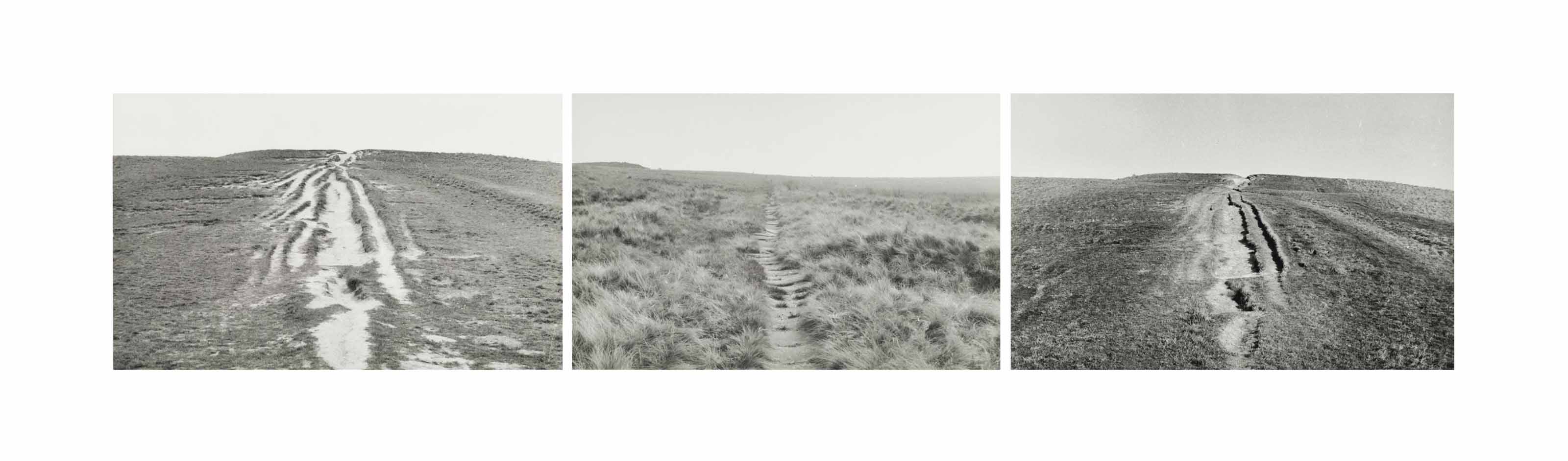 Hamish Fulton (B. 1946)