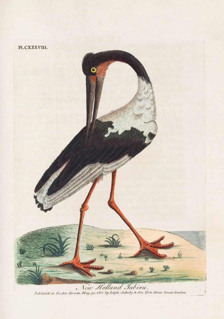 JOHN LATHAM (1740-1837) | Christie's