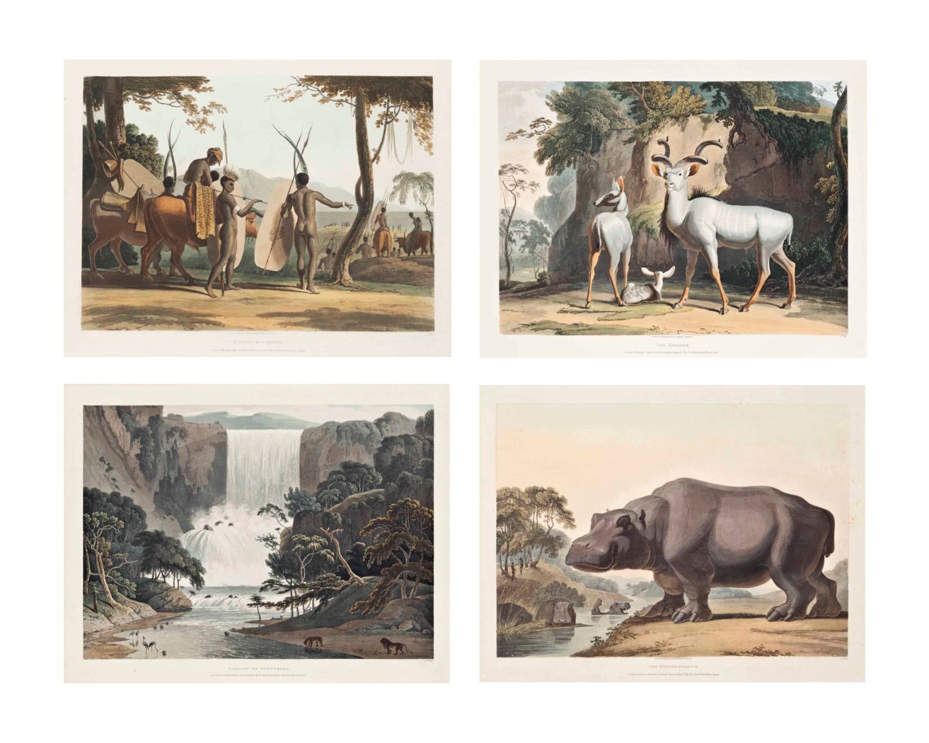 Samuel Daniell (1775-1811) , African Scenery and Animals (Abbey Travel ...