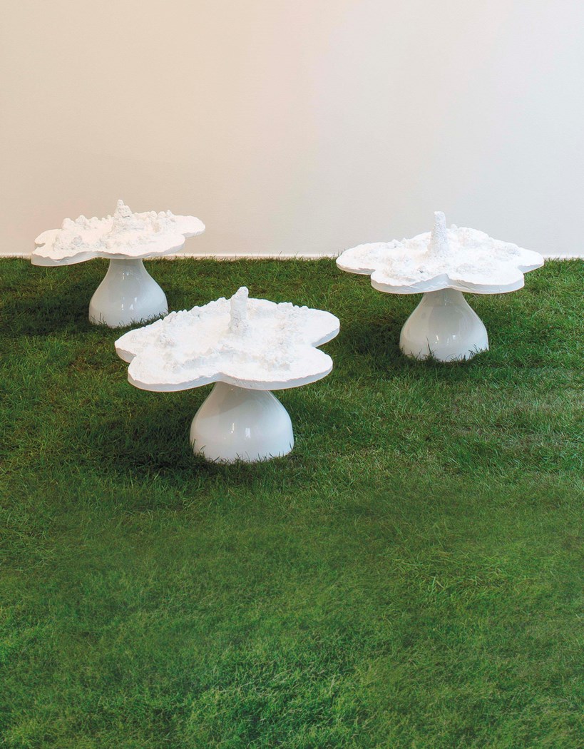 Helen Chadwick (1953-1996), Piss Flowers | Christie's