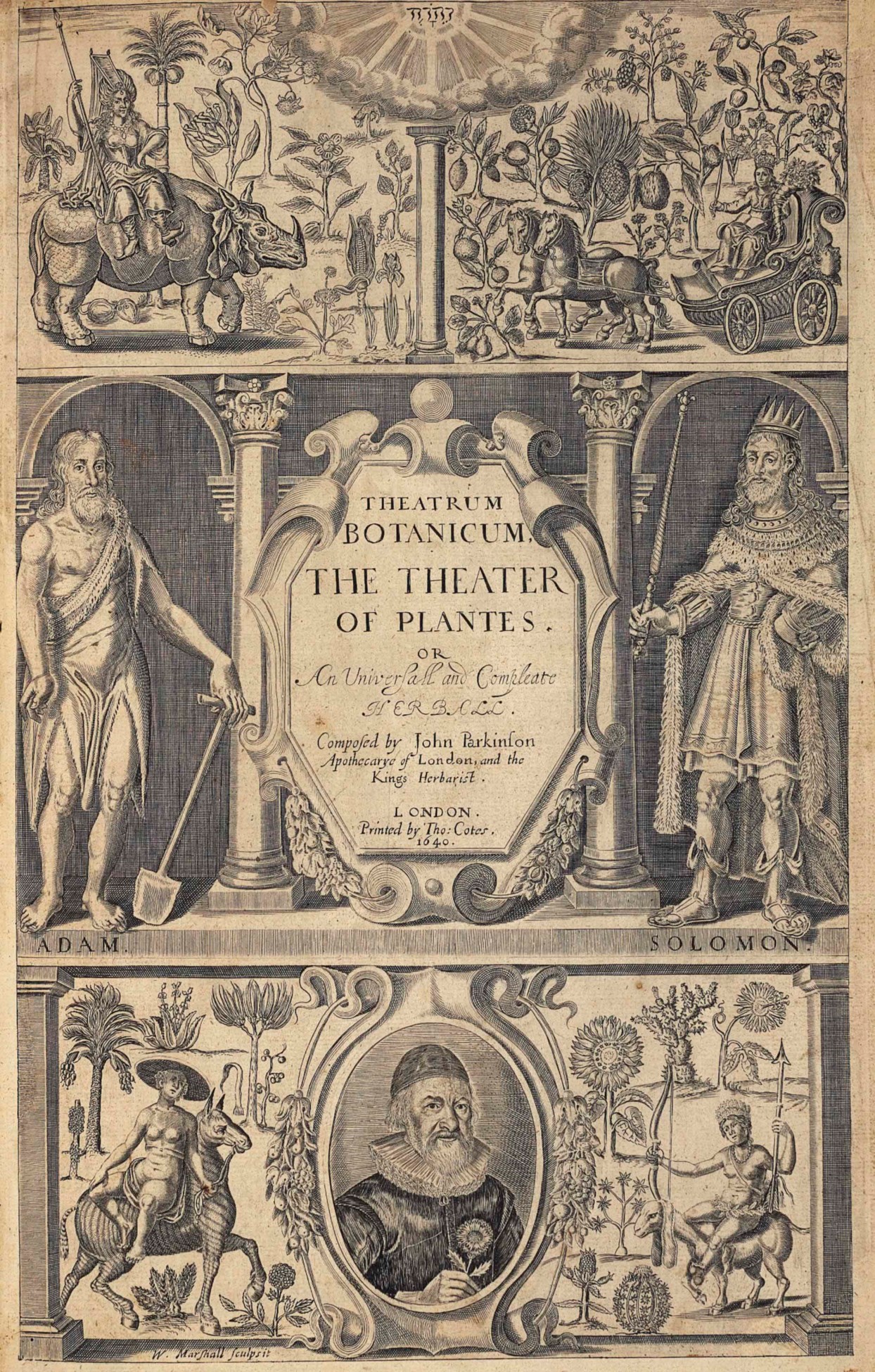 JOHN PARKINSON (1576-1650) | Christie's