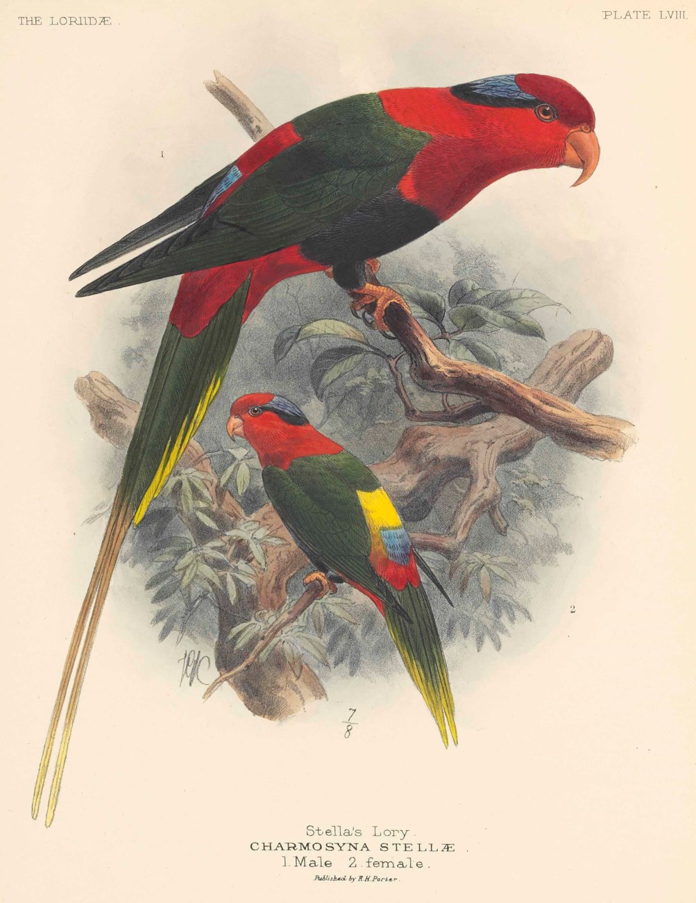 ST. GEORGE JACKSON MIVART (1827-1900) | Christie's