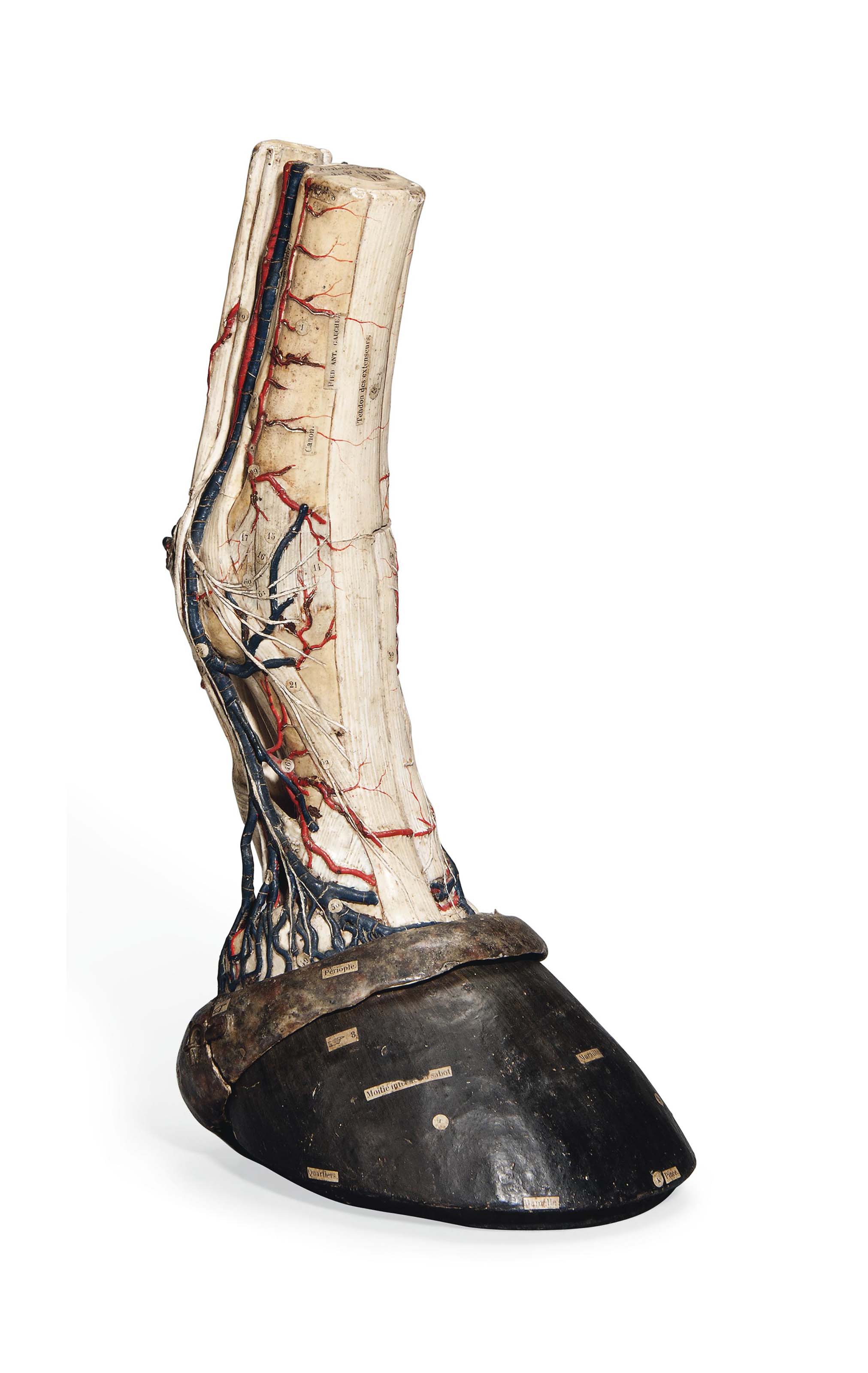 edith grace wheatley