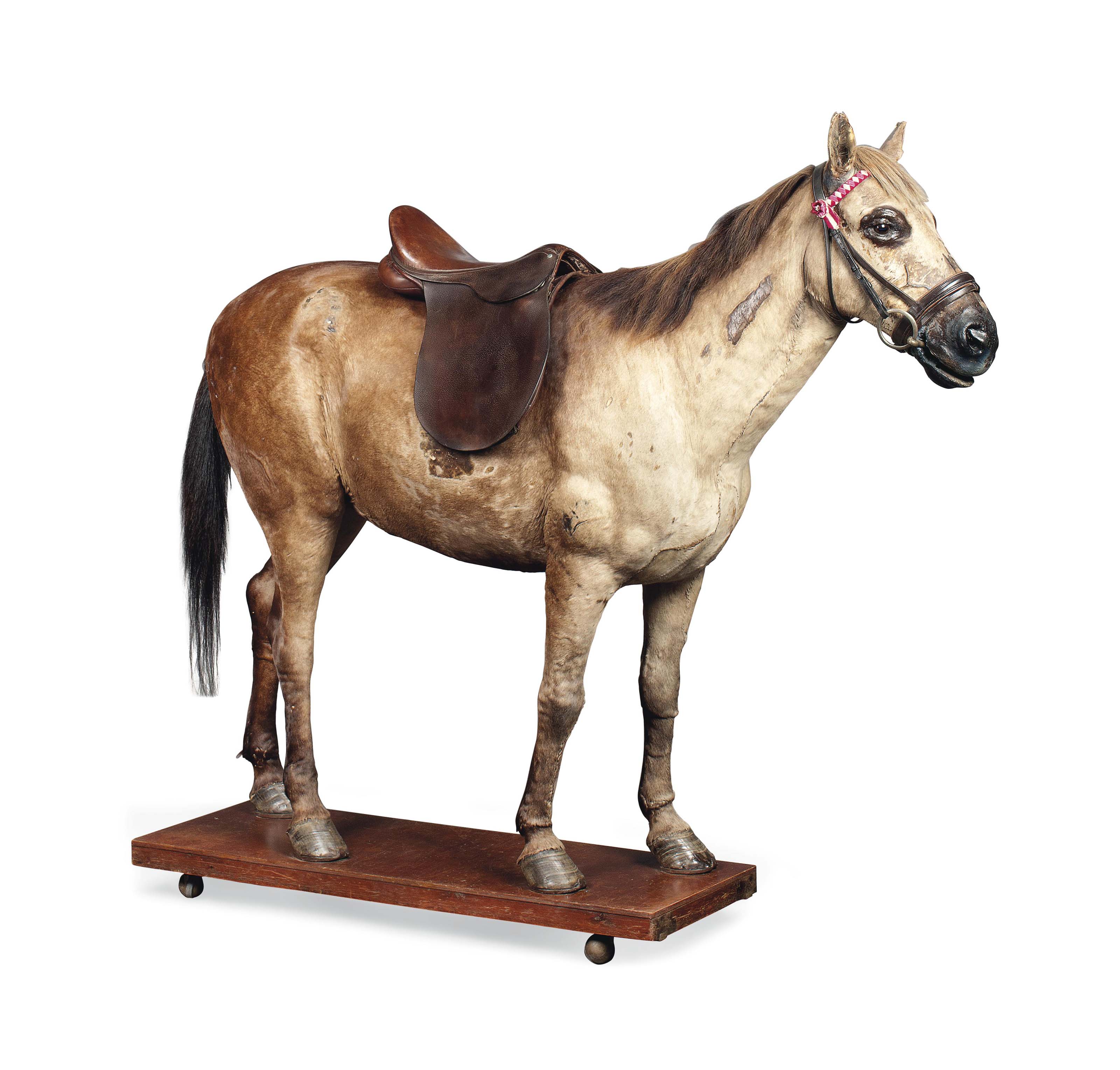 edith grace wheatley