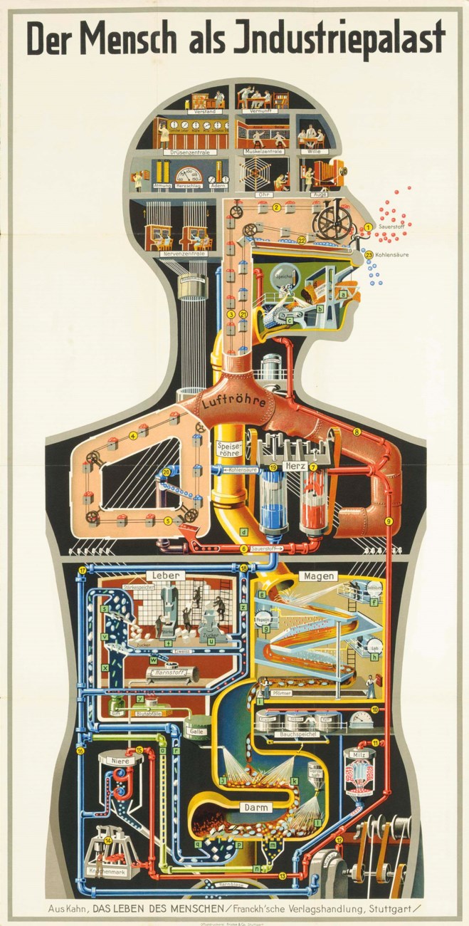 FRITZ KAHN (1888-1968) , DER MENSCH ALS INDUSTRIEPALAST (MAN AS ...