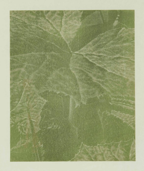 FRANZ GERTSCH (1930) , Pestwurz, 1993 | Christie's