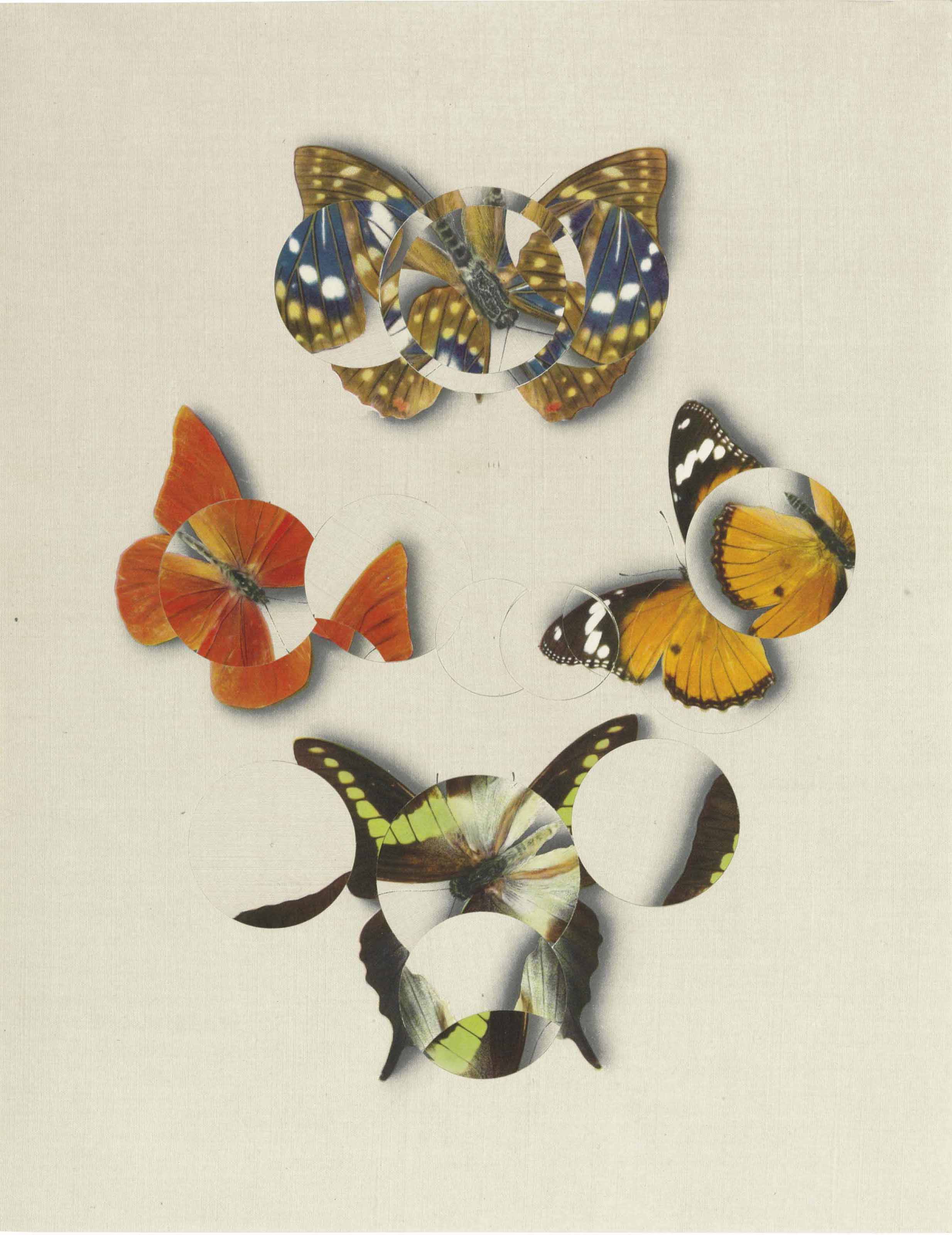 Gabriel Orozco Artist