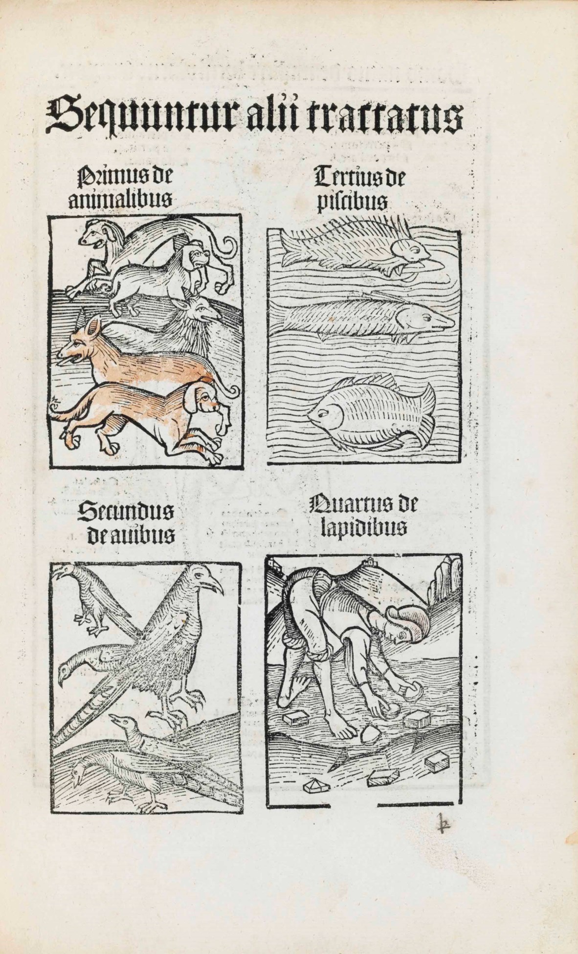 Hortus Sanitatis. [Strassburg: Reinhard Beck], 1517. | Christie's