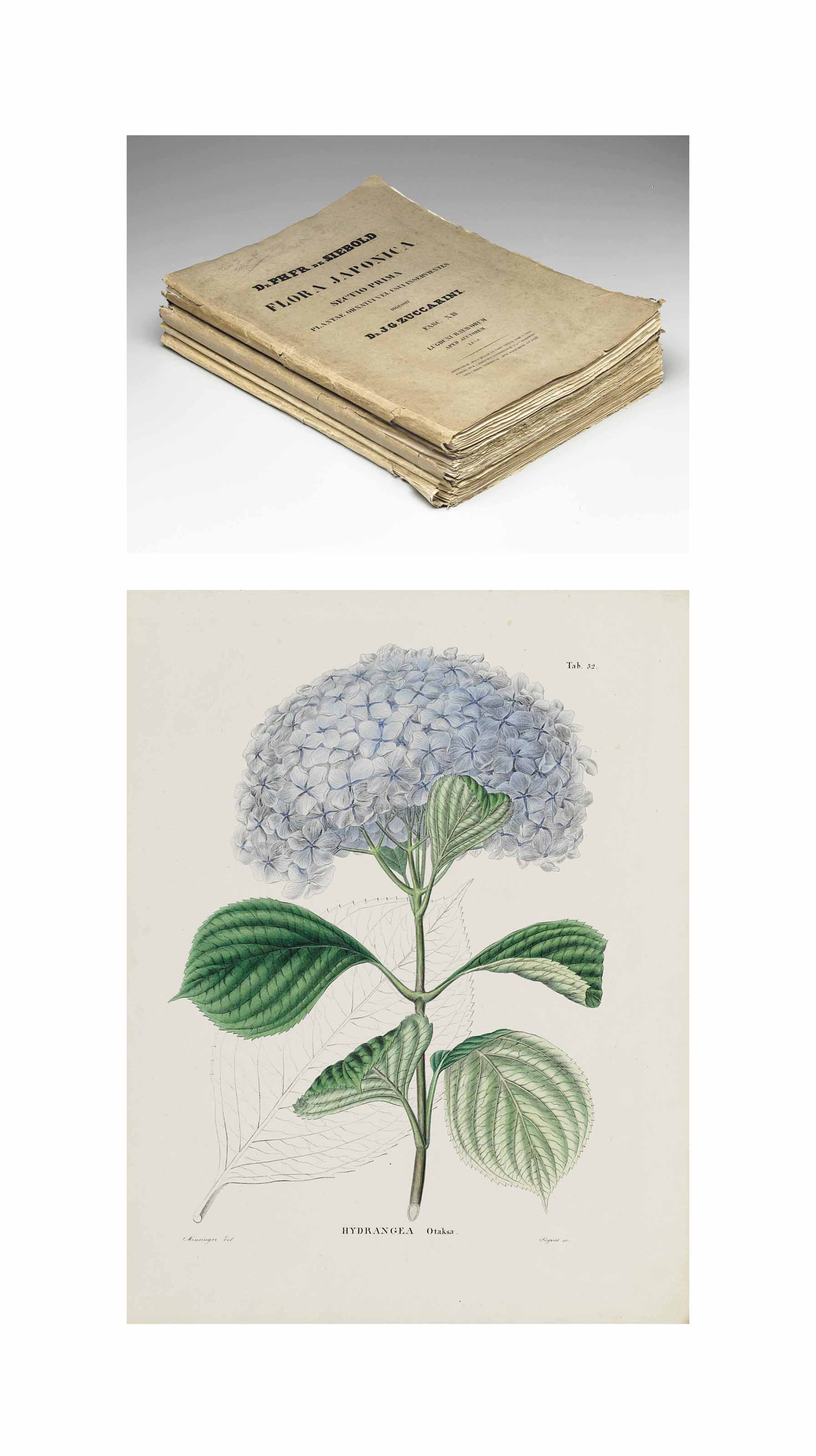 ROQUES, Joseph. Phytographie médicale, ornée de figures coloriées de ...
