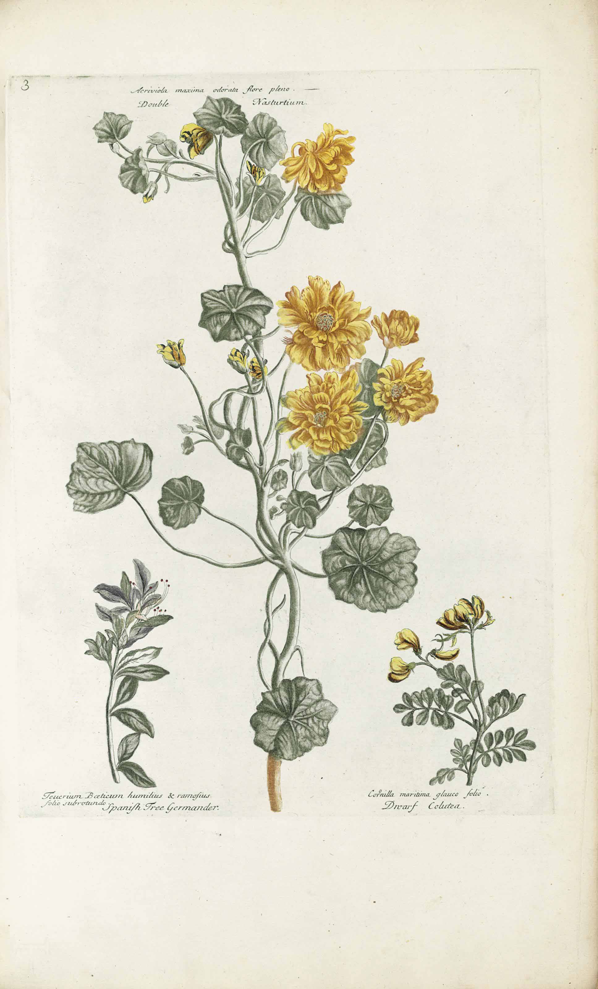 ROQUES, Joseph. Phytographie médicale, ornée de figures coloriées de ...