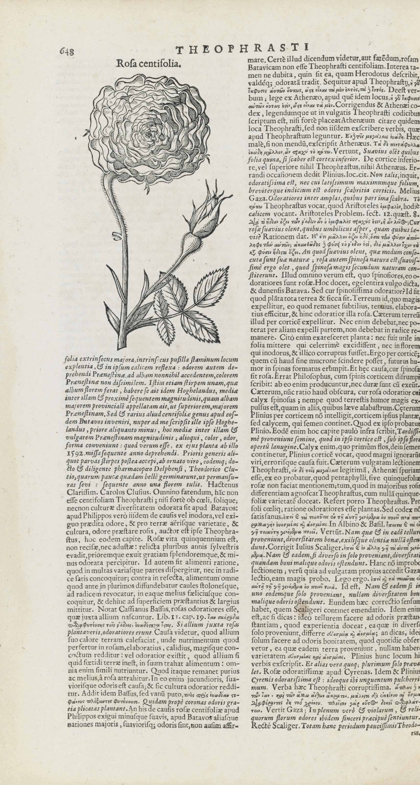 ROQUES, Joseph. Phytographie médicale, ornée de figures coloriées de ...