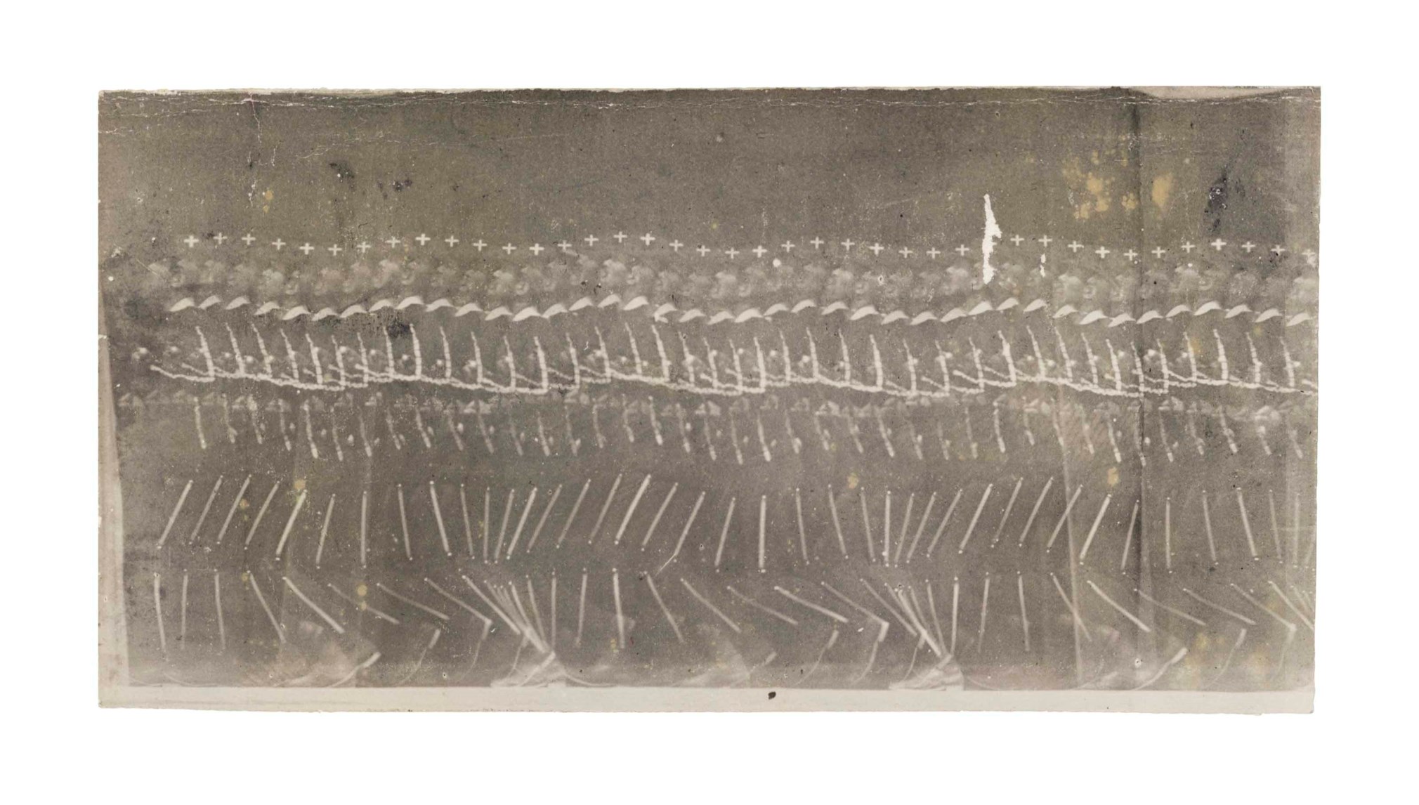 ÉTIENNE-JULES MAREY (1830-1904) , Man Walking, 1882 | Christie's