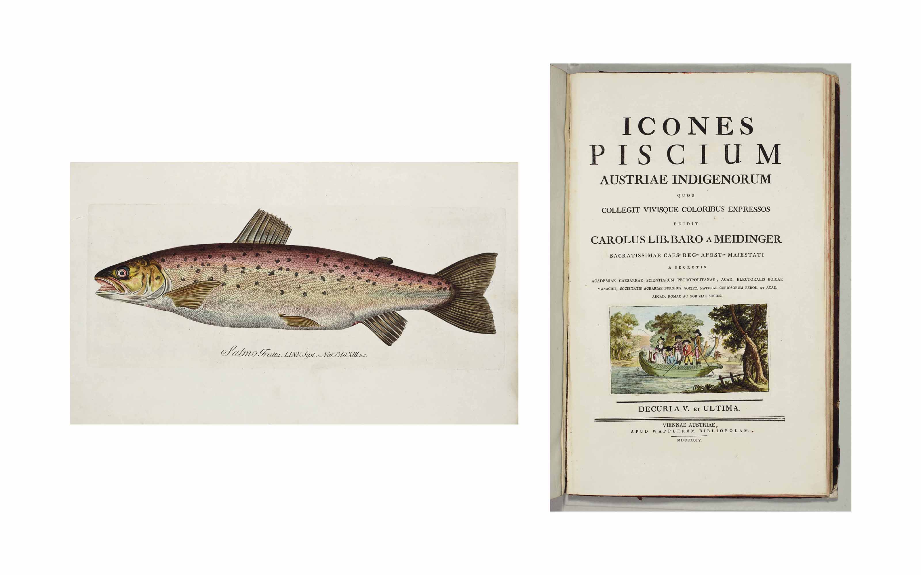 MEIDINGER, Carl von (1750-1820). Icones Piscium Austriae indigenorum ...