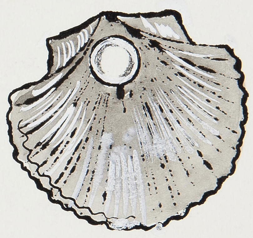 Shell Pin, ANDY WARHOL (1928-1987) | Christie’s