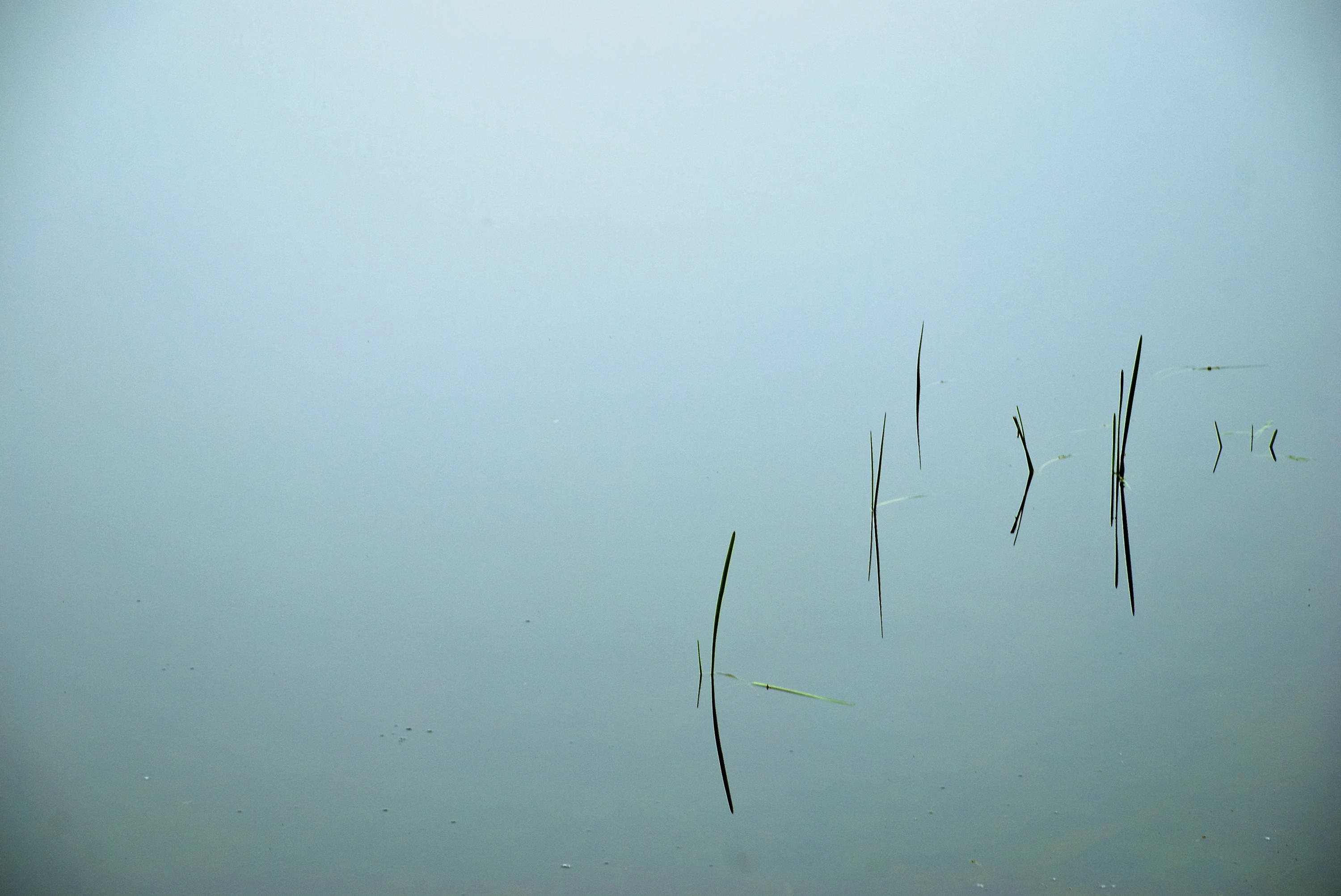 Arrowsic, Maine, 2010, Heather Perry | Christie’s