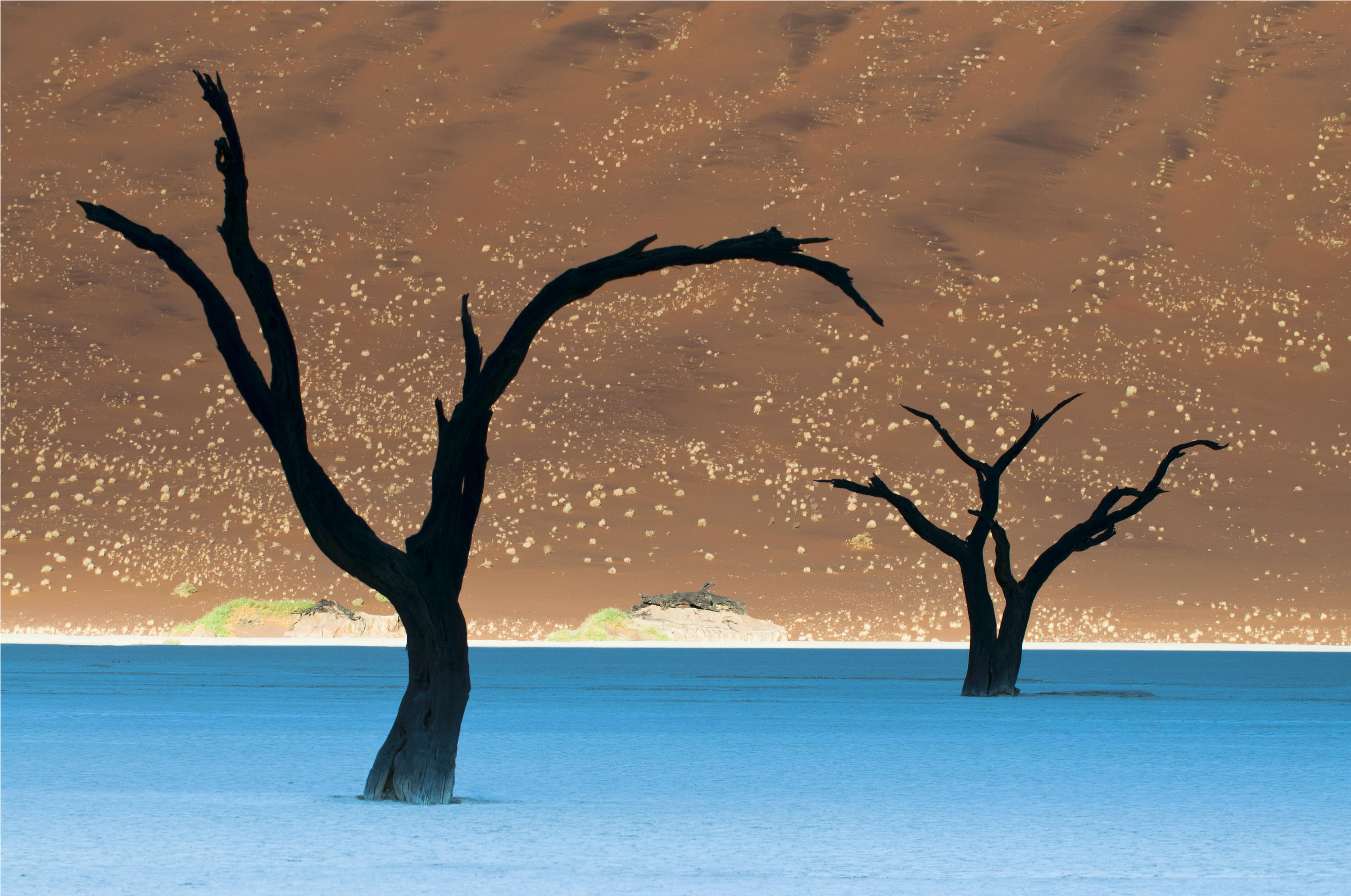Sossusvlei, Namib-Naukluft National Park, Namibia, 2009, Frans Lanting ...