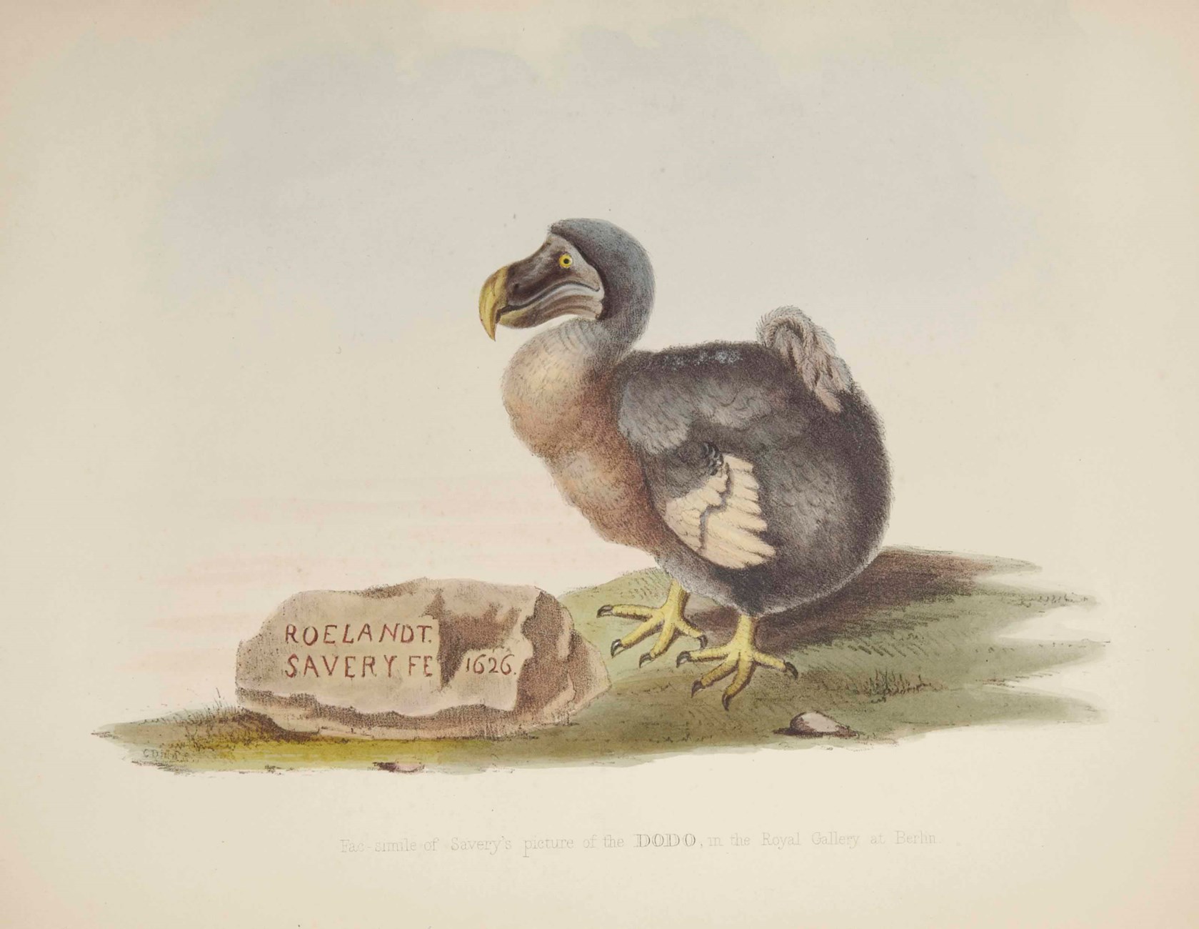 STRICKLAND, Hugh Edwin (1811-1853) and Alexander Gordon MELVILLE. The ...