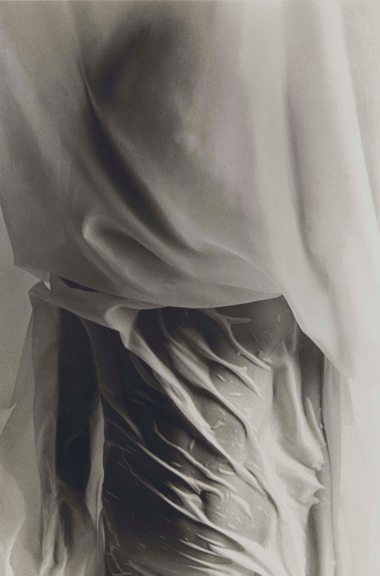 CLAUDE BATHO (1935-1981)