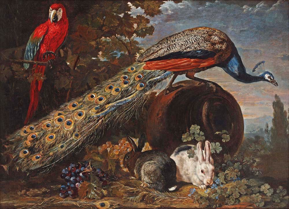 David de Coninck (Antwerp 1642/6-1701/5 Brussel) , A peacock on an ...